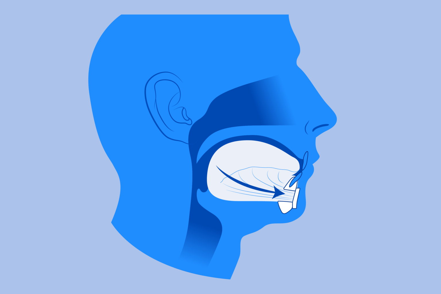 Surgery for Sleep Apnea: Procedures and Risks - Amerisleep